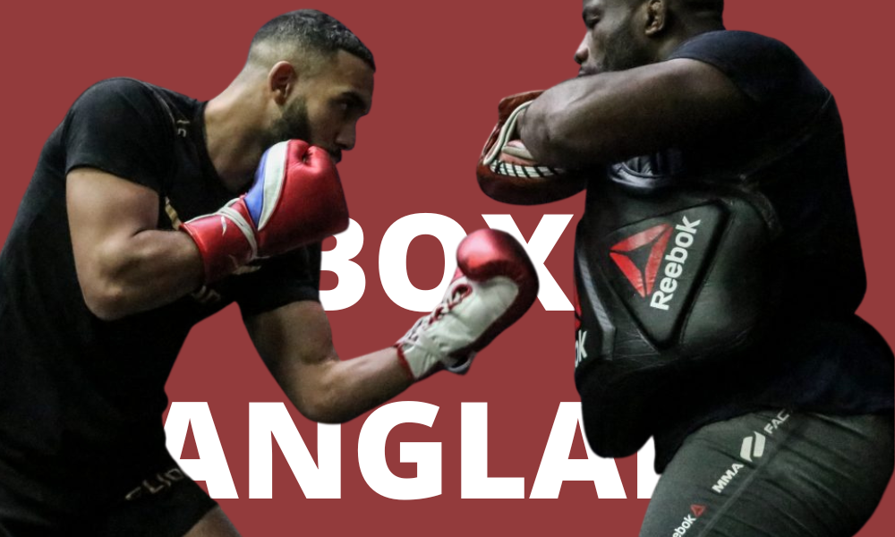 MMA FACTORY - MMA FACTORY